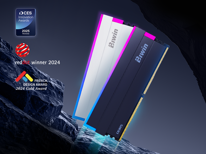 Biwin Unveils Cutting-Edge Storage Solutions for 2025 - The Reimaru Files